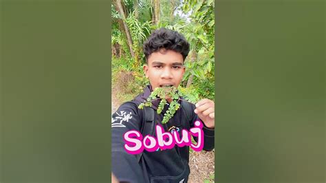 আজকে আমি সারাদিন শুধু সবুজ কালারের খাবার খেলাম।😍😋vlog Minivlog