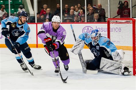 Admirals Win 7 In A Row Pro Hockey News
