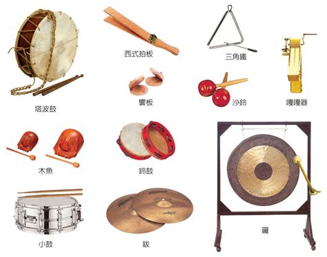 樂器 組圖影片 的最新詳盡資料 必看 Yes
