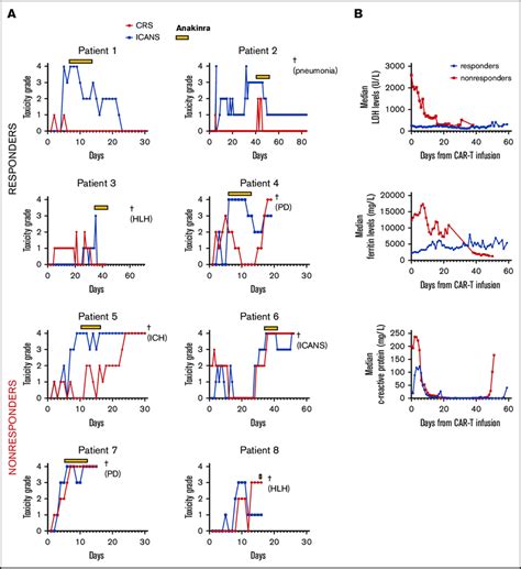 Trend Of Toxicity And Inflammatory Markers A The Toxicity Grade