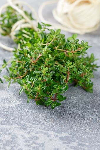 돌 또는 콘크리트 테이블에 신선한 유기 백 리 향 Sprigs 허브입니다 선택적 초점 개체 그룹에 대한 스톡 사진 및 기타