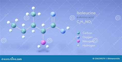 Isoleucine Molecular Structure Isoleucine Skeletal Chemical Formula Chemical Molecular Formula