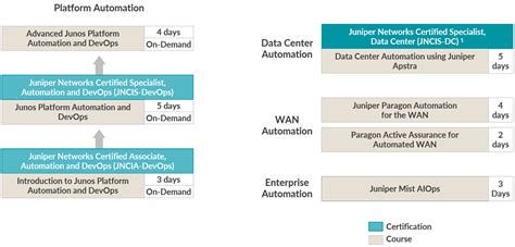 Automation And Devops Learning Path
