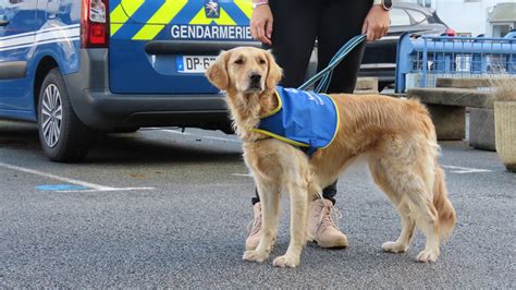 Orléans Eric Dupond Moretti annonce un chien d assistance judiciaire