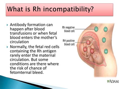 Rh Abo Incompatibility PPTX