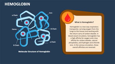 Hemoglobin PowerPoint And Google Slides Template PPT Slides