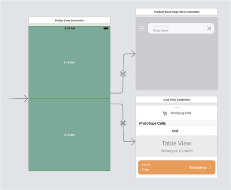How To Push To Pulleyviewcontroller From Other View Controllers When My