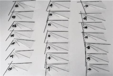 Figure 5 From Design And Optimization Of Bionic Wings Based On Leading