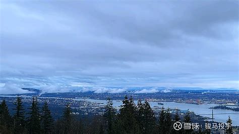 三只涨停辞旧岁，补涨龙头迎新年 本文纯属个人观点，不可作为买卖依据；烦请：谨慎投资，注意风险！ 2022年股市圆满结束，上涨3319只，下跌