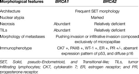 Morphological Features Of Brca1 And Brca2 Associated High Grade Serous