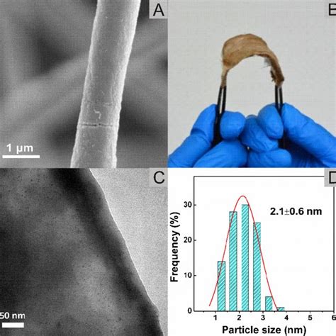 In Situ Diffuse Reflectance Infrared Fourier Transform Spectroscopy