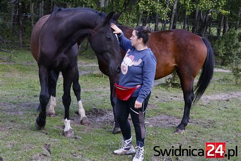 Dla kogo podatku Ratuj konie i osiołki razem z Fundacją Patataj Animals Sanctuary