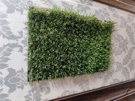 Pe Artificial Grass Patch For Outdoor At ₹ 220sq Ft In Kanpur Id