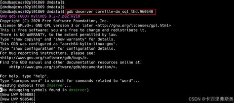 【达梦数据库】coredump文件生成与分析 dmp文件在线分析 csdn博客