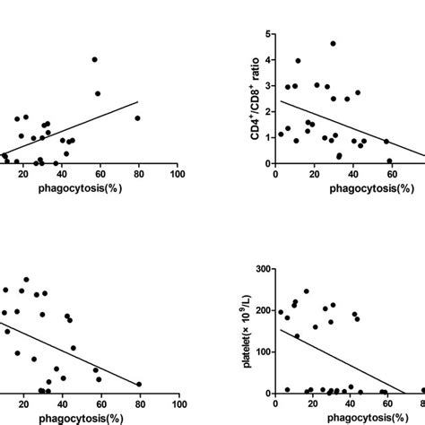 A The Morphology Of Myeloid Dendritic Cells Mdcs Induced In Vitro