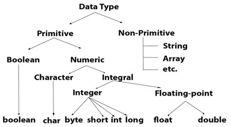 java primitive type 에 대해 알아보자 용어정리
