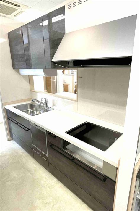 【傷や汚れあり】 モデルルーム展示品 Cleanup クリナップ I型システムキッチン ステンレス W255cm 食器洗い乾燥機 レンジフード 吊戸棚 混合水栓 Z30の落札情報詳細