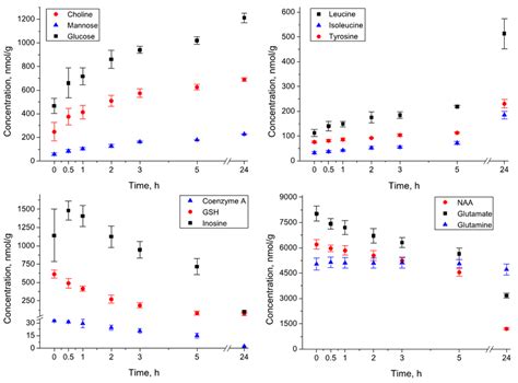 Kinetics Of Metabolite Concentrations In The Rat Brain Homogenates