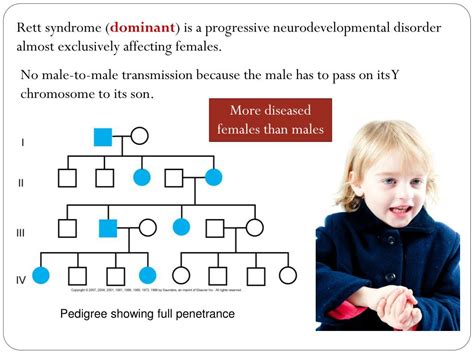 Ppt Chromosomes And Sex Chromosomes Inheritance Powerpoint
