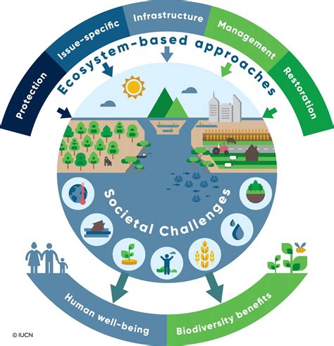 Our Living Planet Nature Based Solutions
