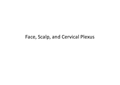 Face Scalp And Cervical Plexus Lecture Objectives Review
