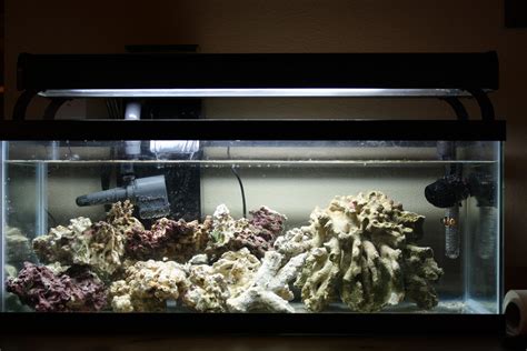 Reef Aquariums For Your Inspiration