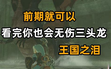 【塞尔达王国之泪】看完你也可以无伤三头龙！ 阿张rayzhang 阿张rayzhang 哔哩哔哩视频