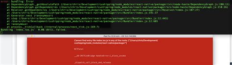 0450 Project Roots Are Incorrect If Packager Starts When Invoking