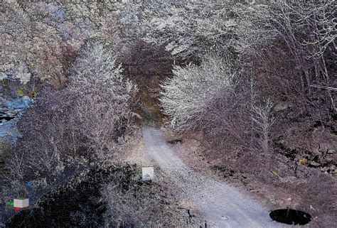 急峻な山地の地上型レーザースキャナーによる現況測量 株 コバコン
