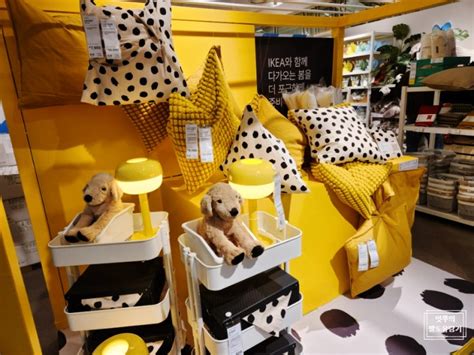 대구 더현대 백화점 이케아 Ikea 베스트셀러 팝업 스토어 네이버 블로그