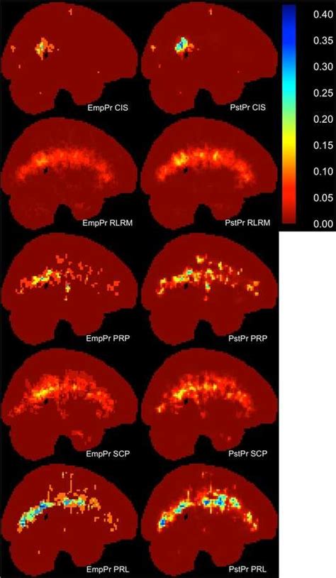 Comparison Of The Empirical Probabilities Left And The Estimated Mean