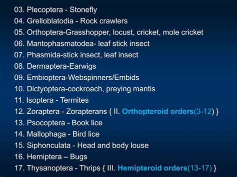 Lec 34 Classification Of Class Insecta Ppt