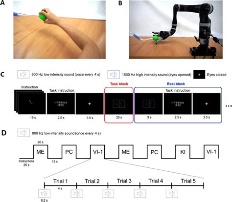 task guidance and design for the fmri experiment video guidance was