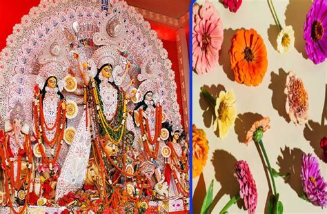 Navdurga Puja Flowers According To Rashi To Durga Offer In Navratri