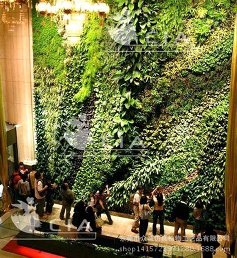 热带绿植墙绿植墙第10页大山谷图库