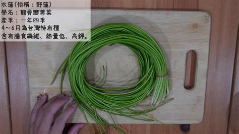 水蓮 火鍋的好朋友高纖又低卡食材小教室 YouTube