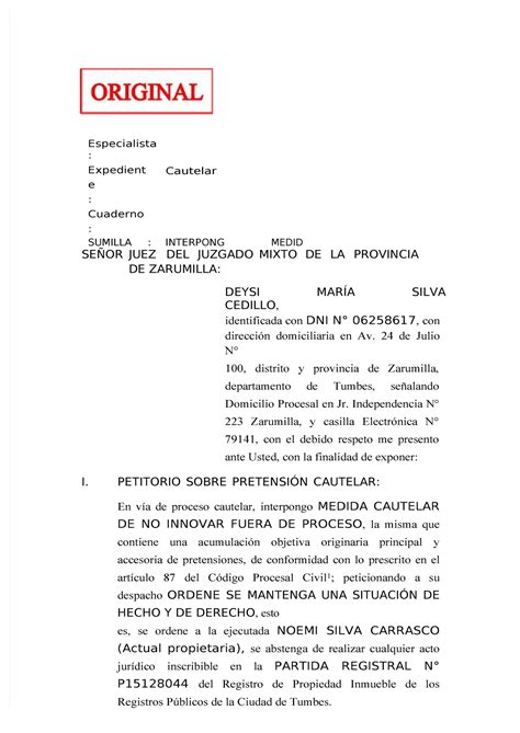 Pdf Medida Cautelar De No Innovar Fuera De Proceso Especialista