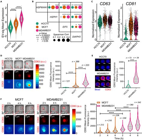 Identifying Signatures Of Ev Secretion In Metastatic Breast Cancer