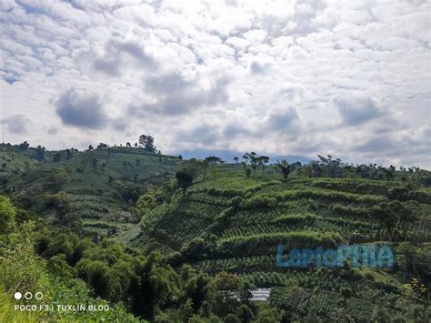 Review Poco F3 Smartphone 5G Paling Powerful Bertenaga Snapdragon 870 Termurah Laptophia