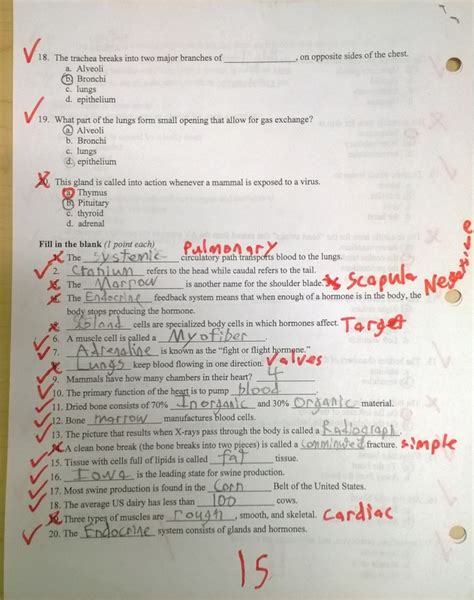 Prepost Assessment Analysis And Chart