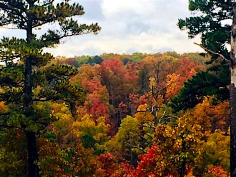 The Joseph H Williams Tallgrass Prairie Preserve Docent News For
