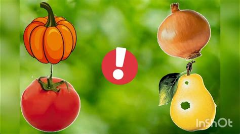 Дидактична гра Що зайве ягоди фрукти овочі Youtube