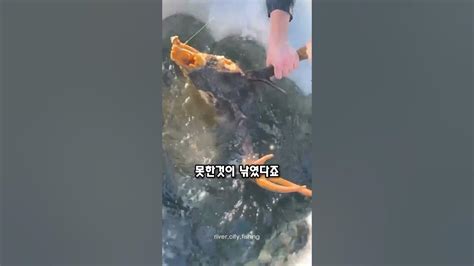 얼음 밑이 위험한 이유 Youtube