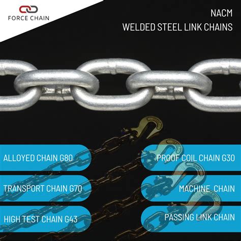 Orcun Eginlioglu On Linkedin Info