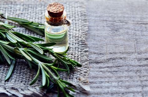 Eau De Romarin Pour Les Cheveux Ses Bienfaits Et Comment L Utiliser The Best Porn Website