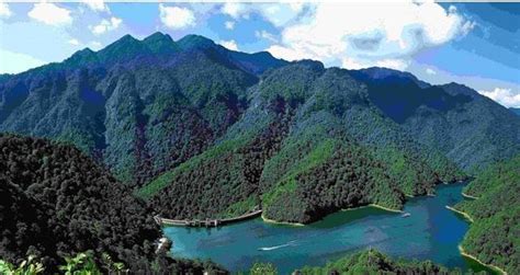 井岡山有哪些珍禽異獸 每日頭條