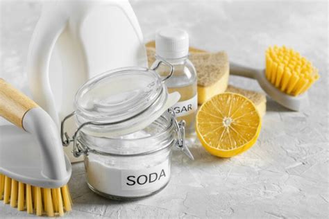 3 Simple Ways To Get Rid Of The Mold Smell In Your Home Practical