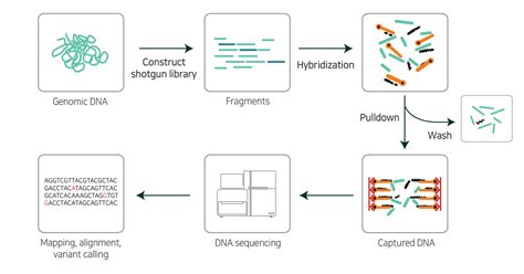 Next Generation Sequencing Workflow