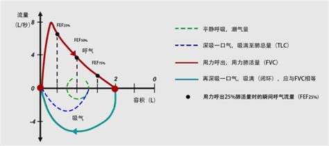 肺功能报告不会看手把手教你识别各种参数 丁香园