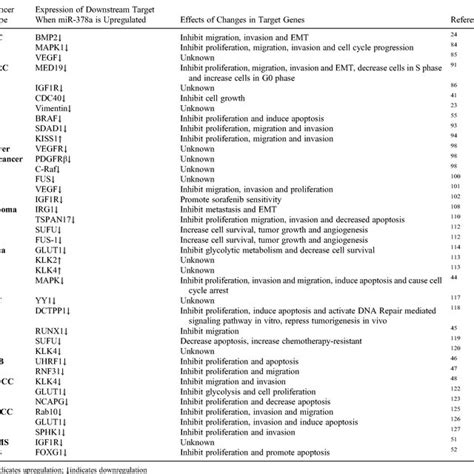 The Regulatory Factors Upstream Of Mir 378a And The Downstream Target